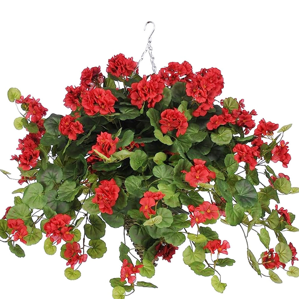 DEDO MORO – Vivero El Encanto